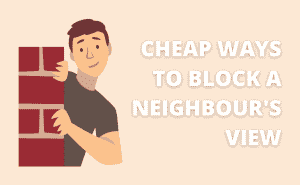 14 easy and cheap ways to block neighbors view - Skint Dad